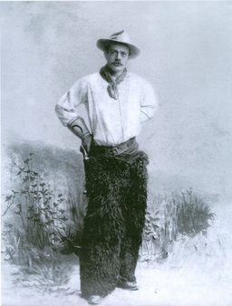 Projects – pdcooke.com